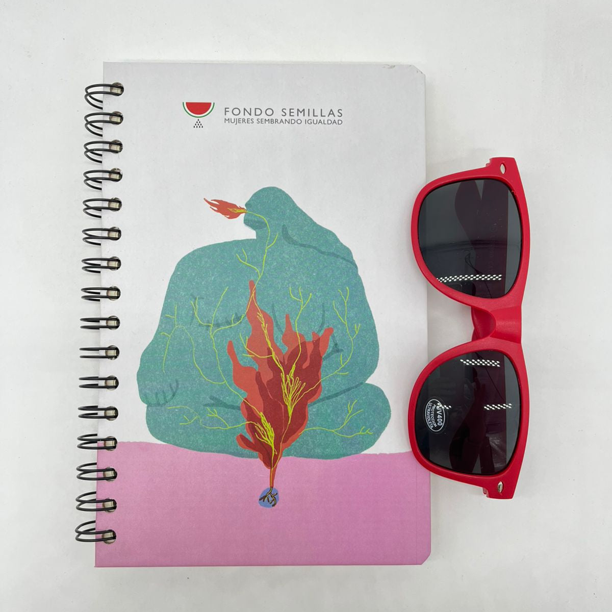 Fondo Semillas #3 | Libreta + Gafas – Muxo Regalos